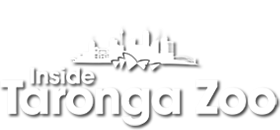 Taronga Zoo Logo